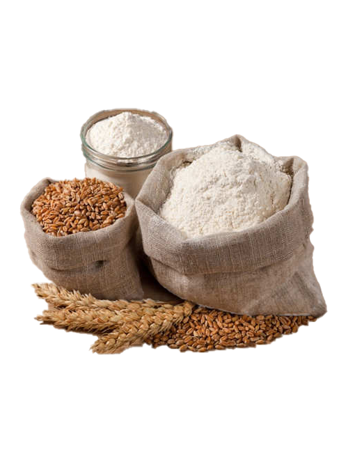 MAIDA (ALL PURPOSE FLOUR) - G-Spice – G-Spice Mexico